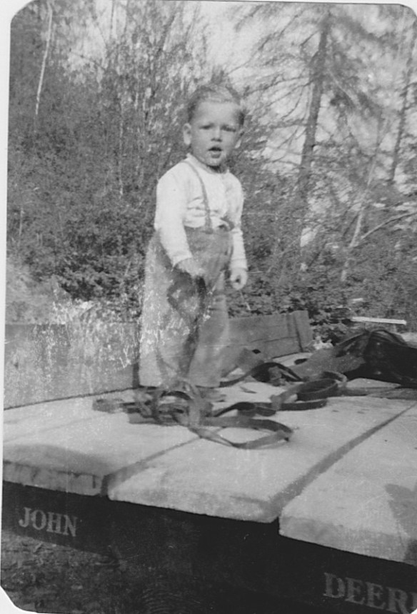 Gilbert Roy – A lifetime of horses | Stories from the life of a French ...